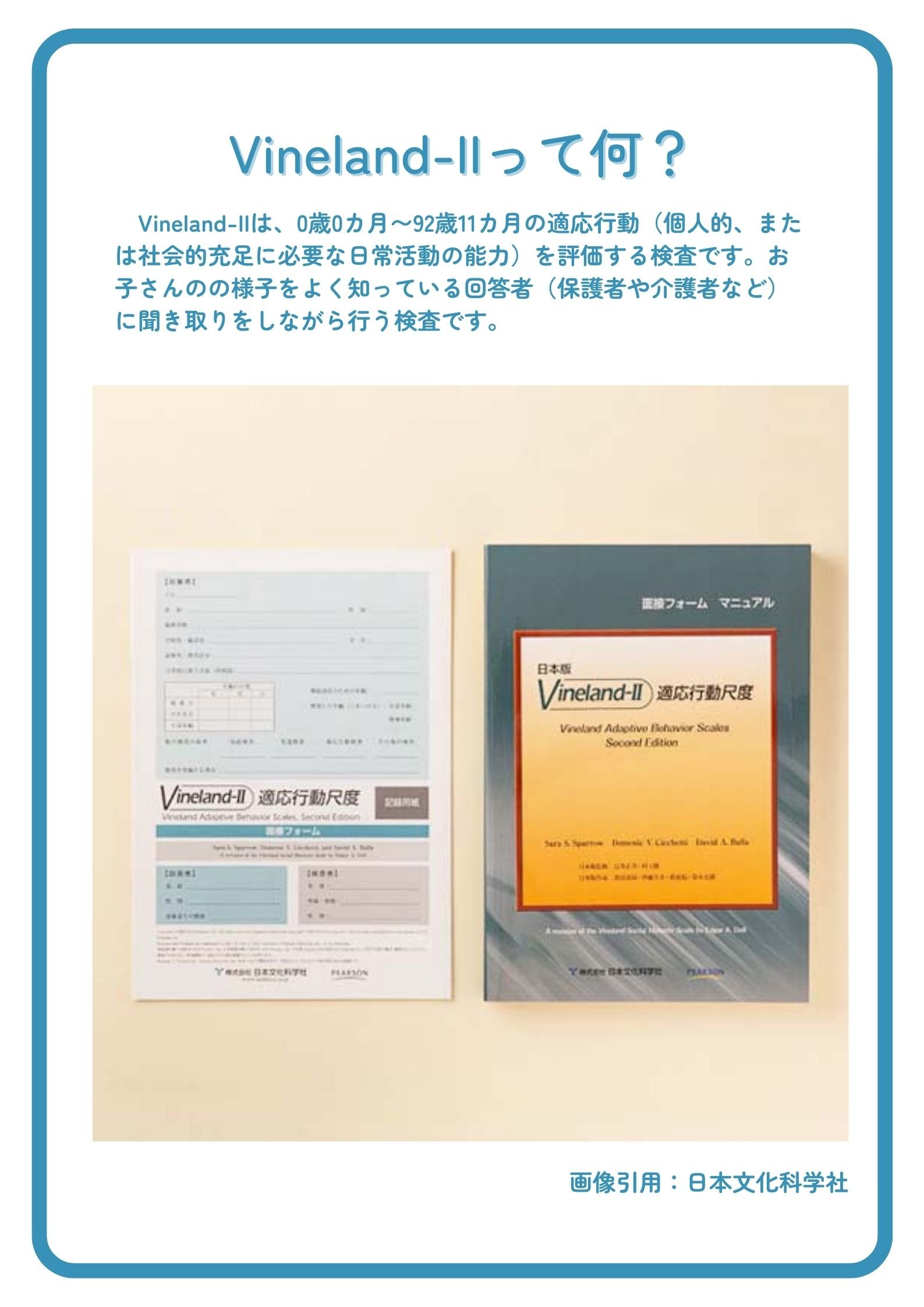 Vineland-II（バインランド）とは | 【静岡市駿河区】児童発達支援施設ミナシアFriends